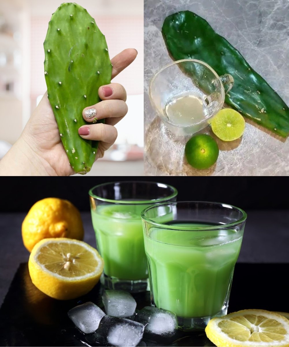 Lemon & Nopal Juice: Your Refreshing Wellness Upgrade for 2025 – Recipes