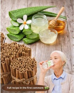 Aloe Vera and Cinnamon: A Gentle Natural Blend for Daily Wellness ...